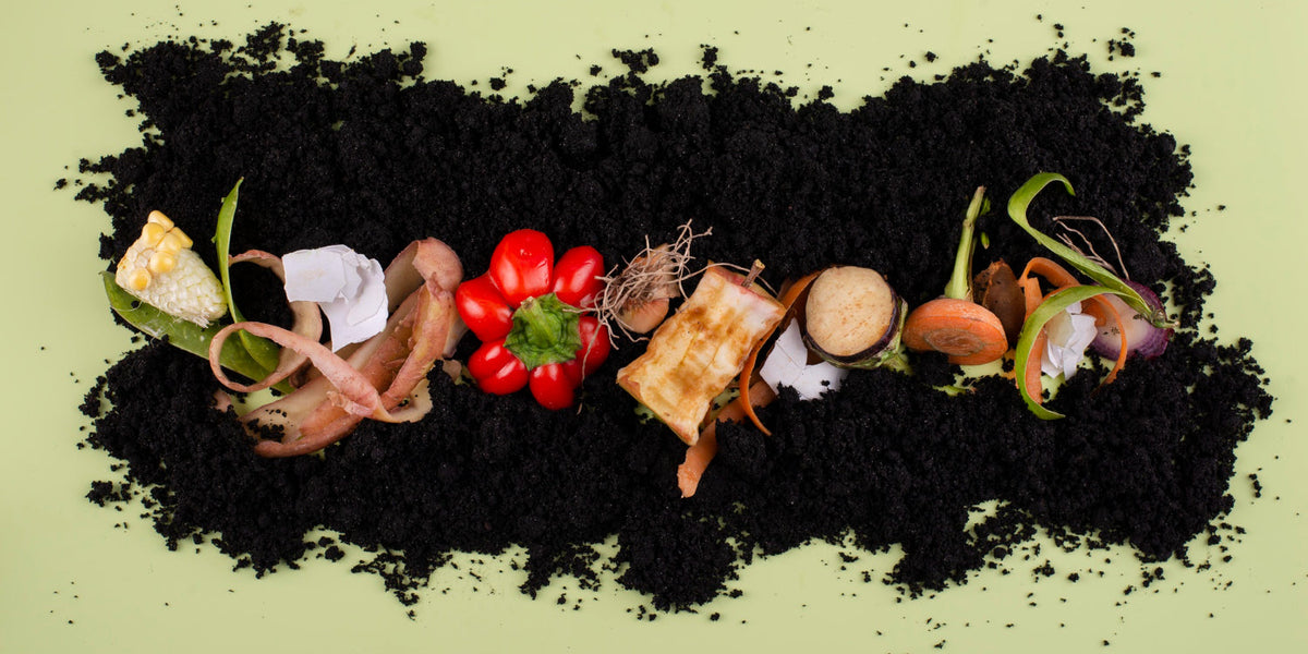 Biodegradable vs. Compostable: What’s the Difference — This Element Inc.